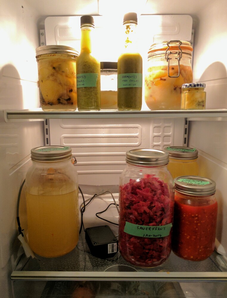 Fermenting Fridge | The Robot Must Eat