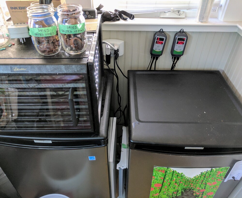 Fermenting Fridge | The Robot Must Eat